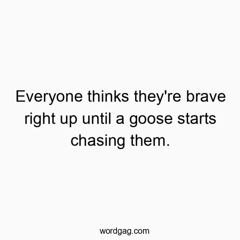Everyone thinks they're brave right up until a goose starts chasing...