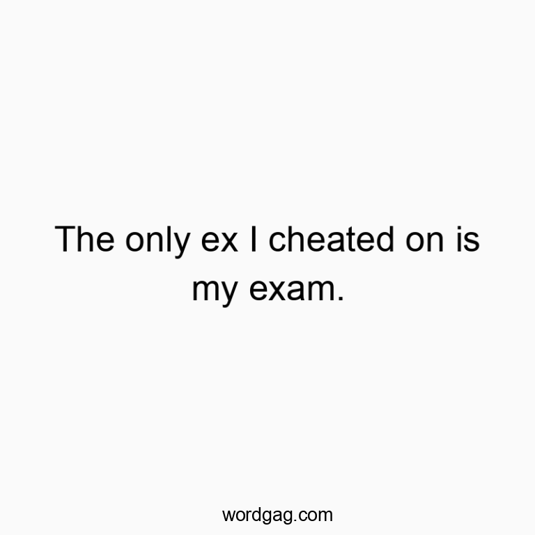 The only ex I cheated on is my exam. — Wordgag ツ
