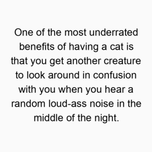 50+ Funny Confusion Quotes That Prove Nobody Really Knows What’s Going ...