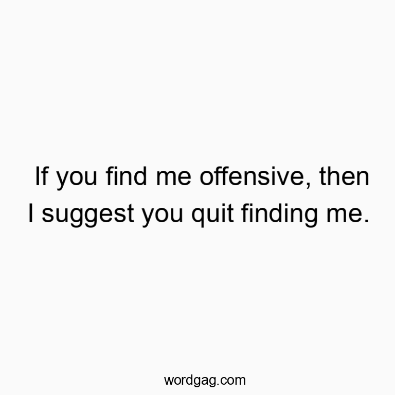 If you find me offensive, then I suggest you quit finding me. — Wordgag ツ