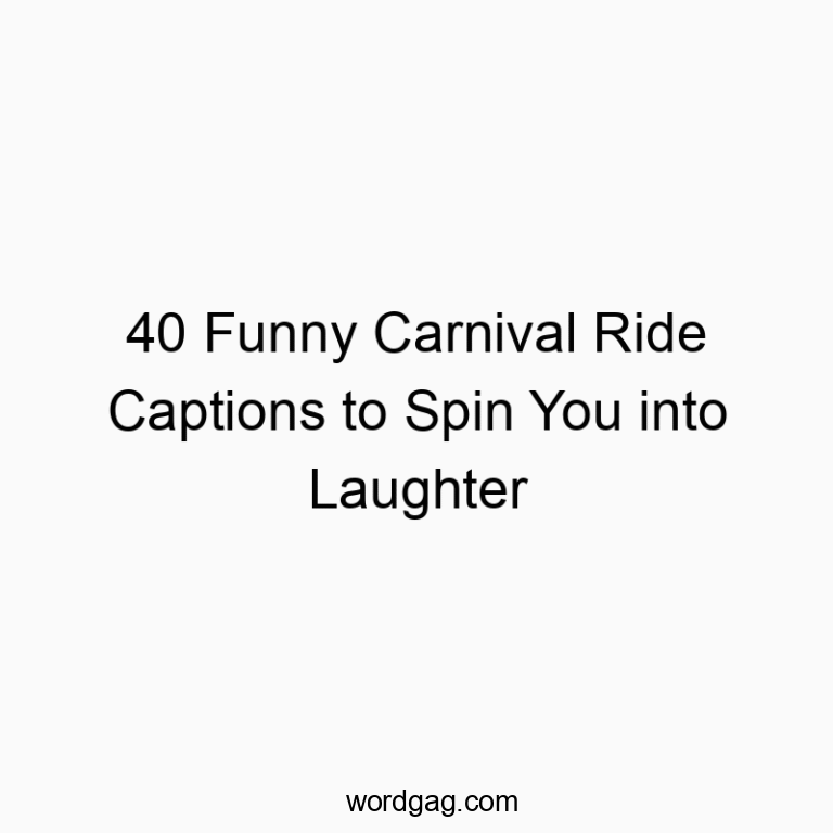 40 Funny Carnival Ride Captions to Spin You into Laughter — Wordgag ツ