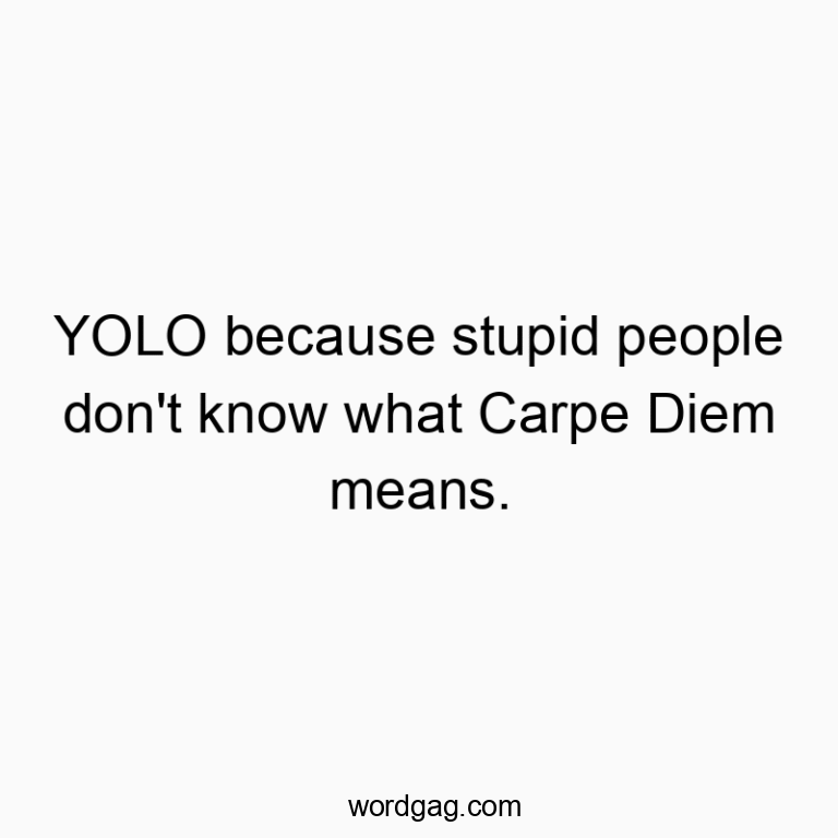 YOLO because stupid people don't know what Carpe Diem means. — Wordgag ツ