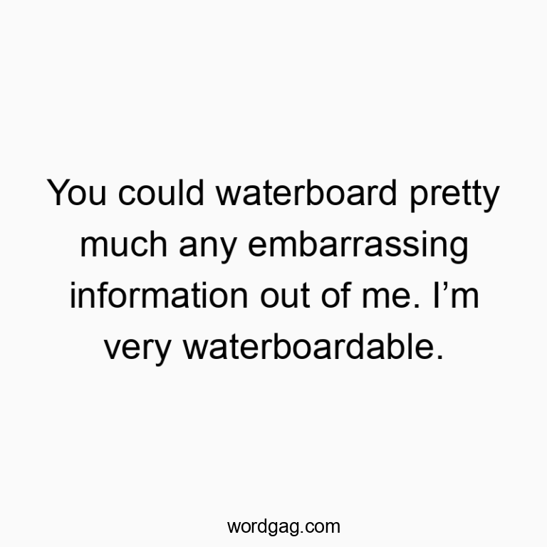 You could waterboard pretty much any embarrassing information out of me ...