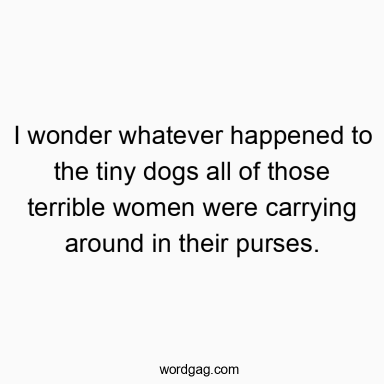 I wonder whatever happened to the tiny dogs all of those terrible women ...